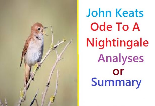 Ode To A Nightingale By John Keats Analyses or Summary